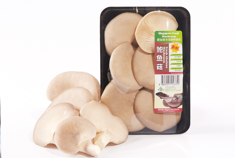 Abalone Mushroom | Kin Yan