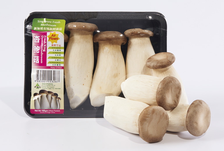 King Oyster Mushroom | Kin Yan