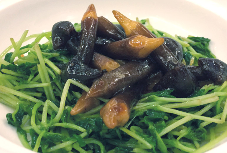 QQ Mushroom | Kin Yan