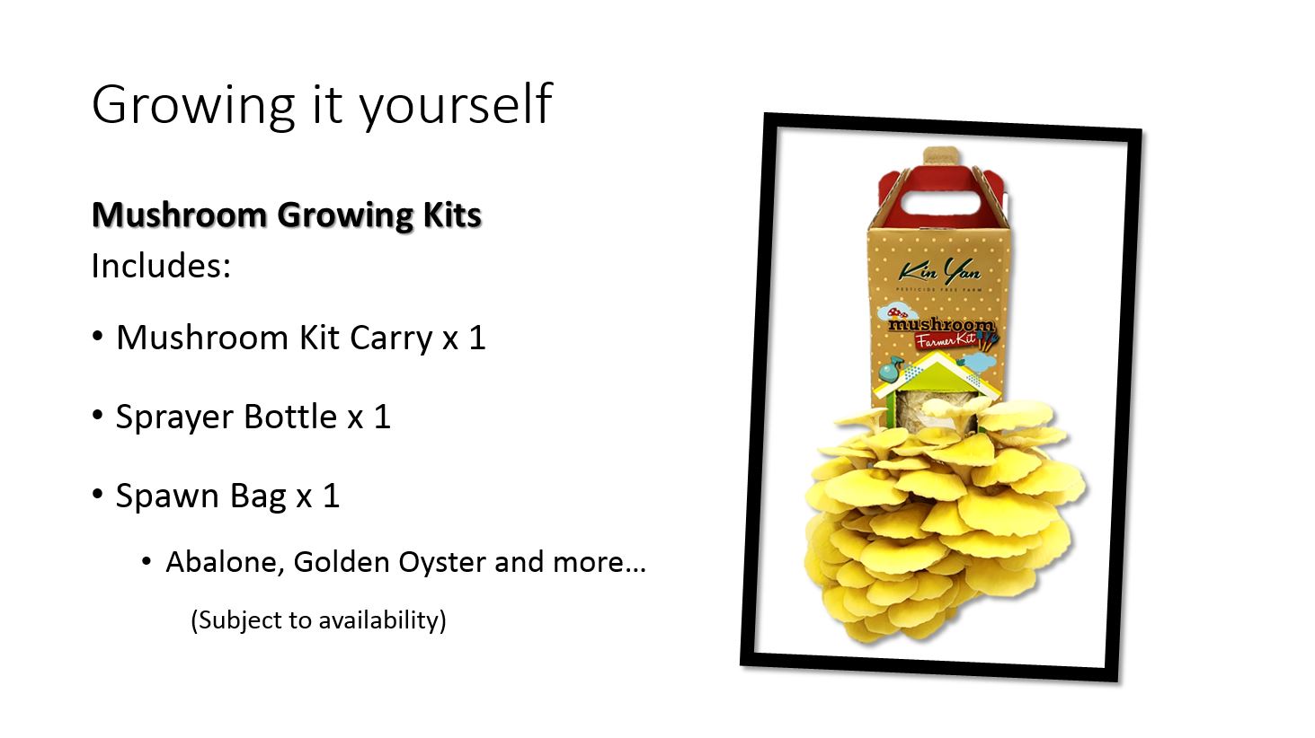 Growing Kits - Kin Yan